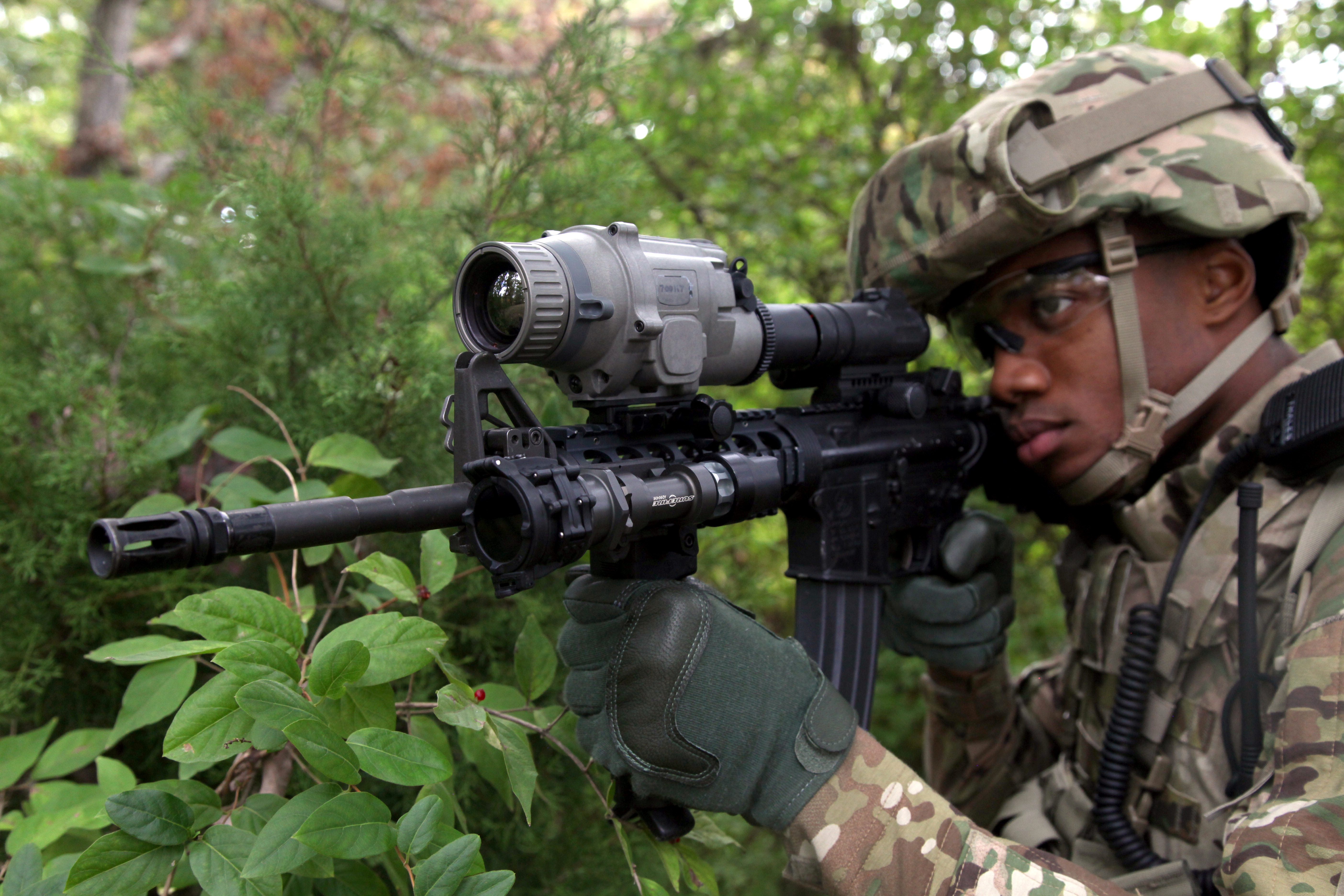 Sights Used By Us Military at Wendy Hopkins blog