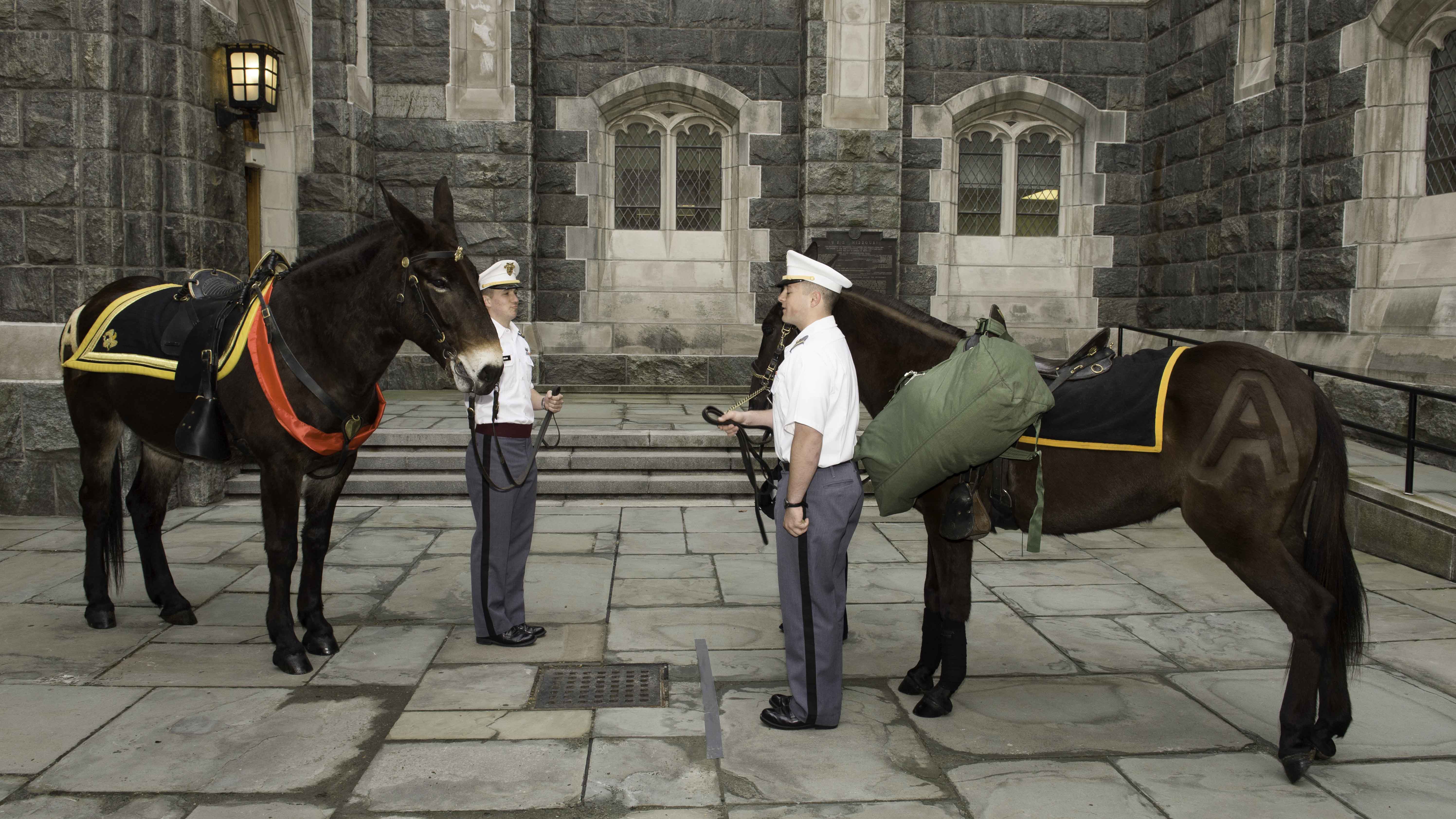 West Point Football Mascot