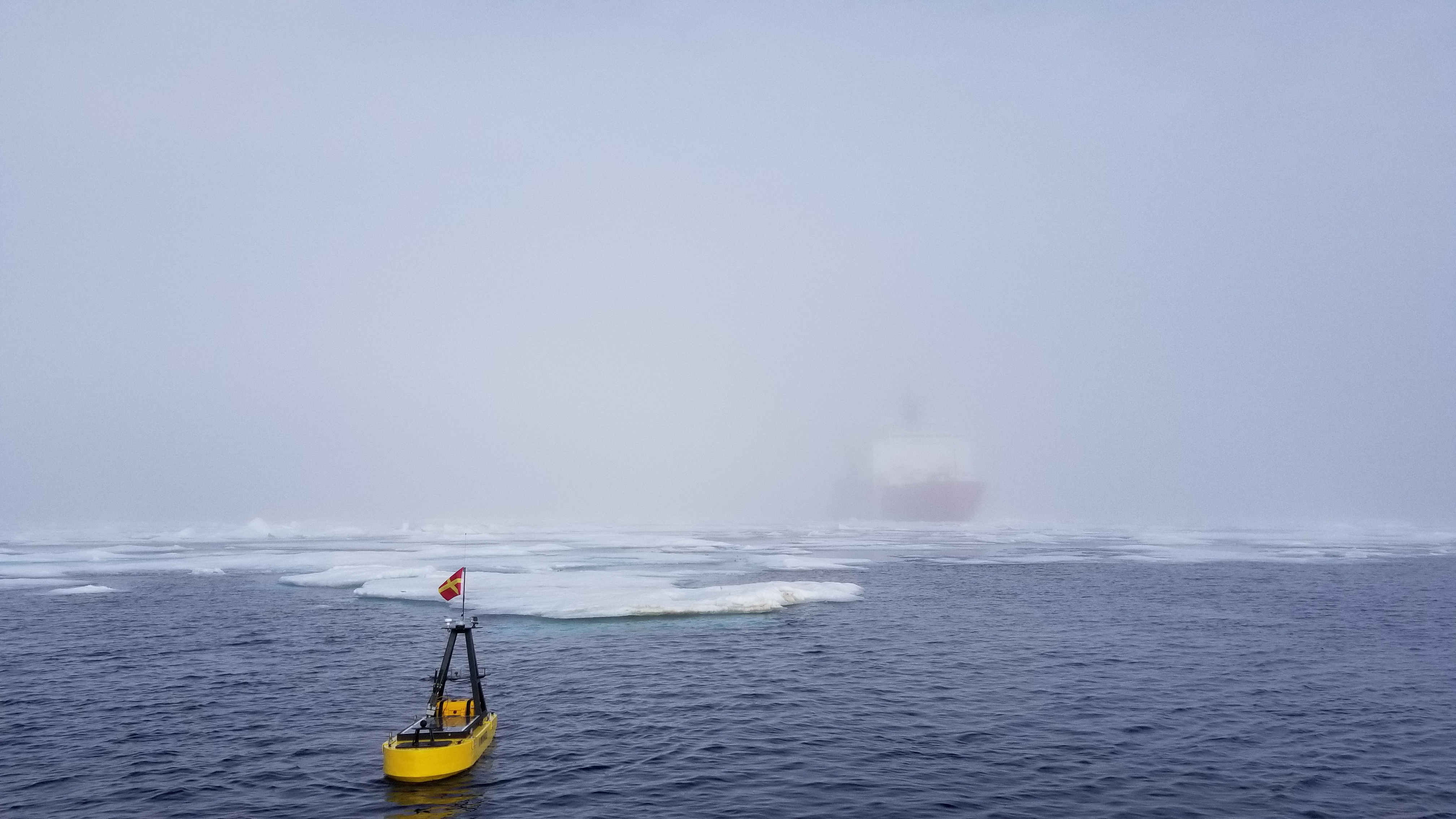 The Coast Guard wants to assemble the Minions for its dirtiest jobs